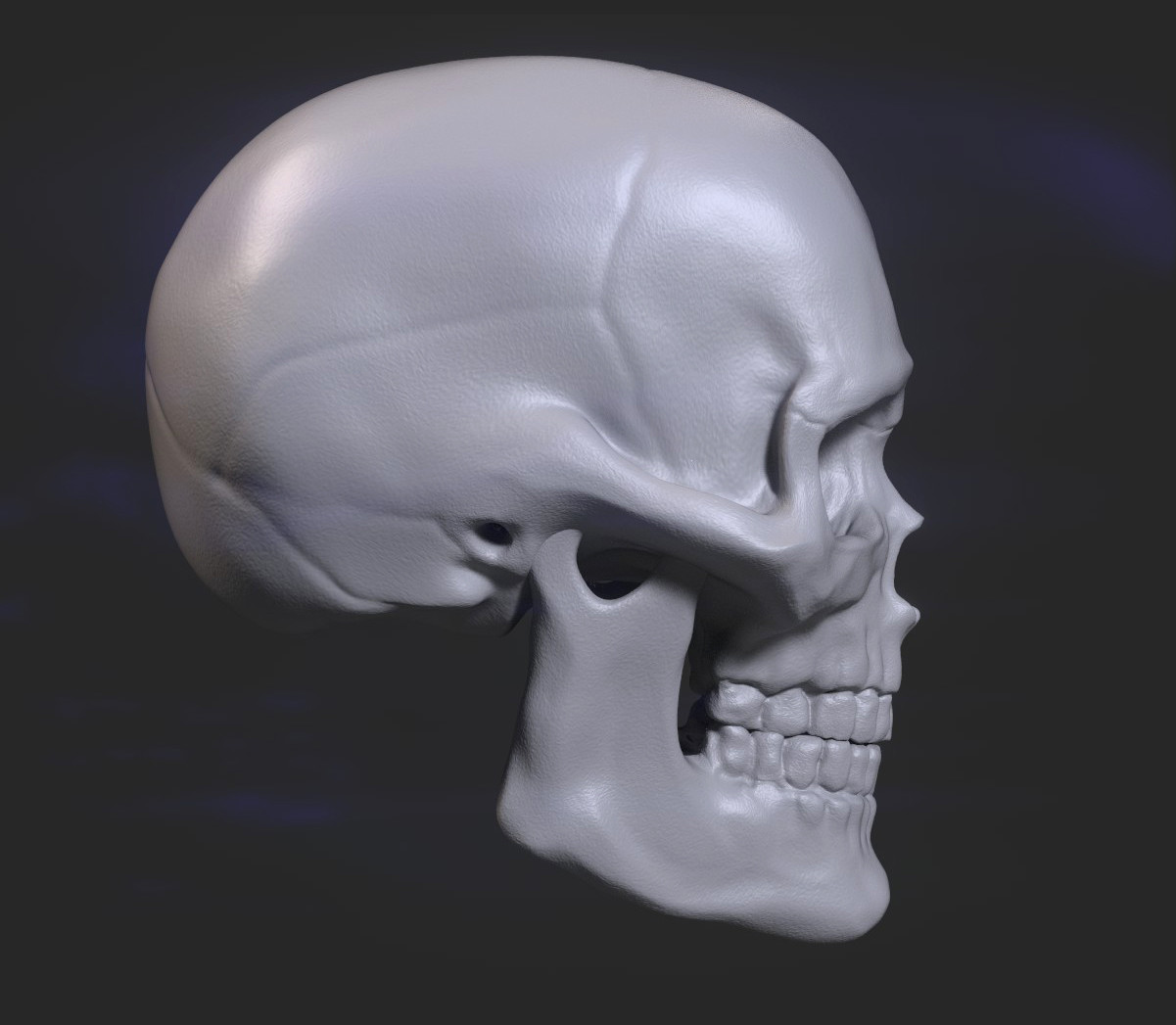 ArtStation - Low and Hi poly Skull | Resources
