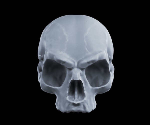 ArtStation - Human Skull | Game Assets