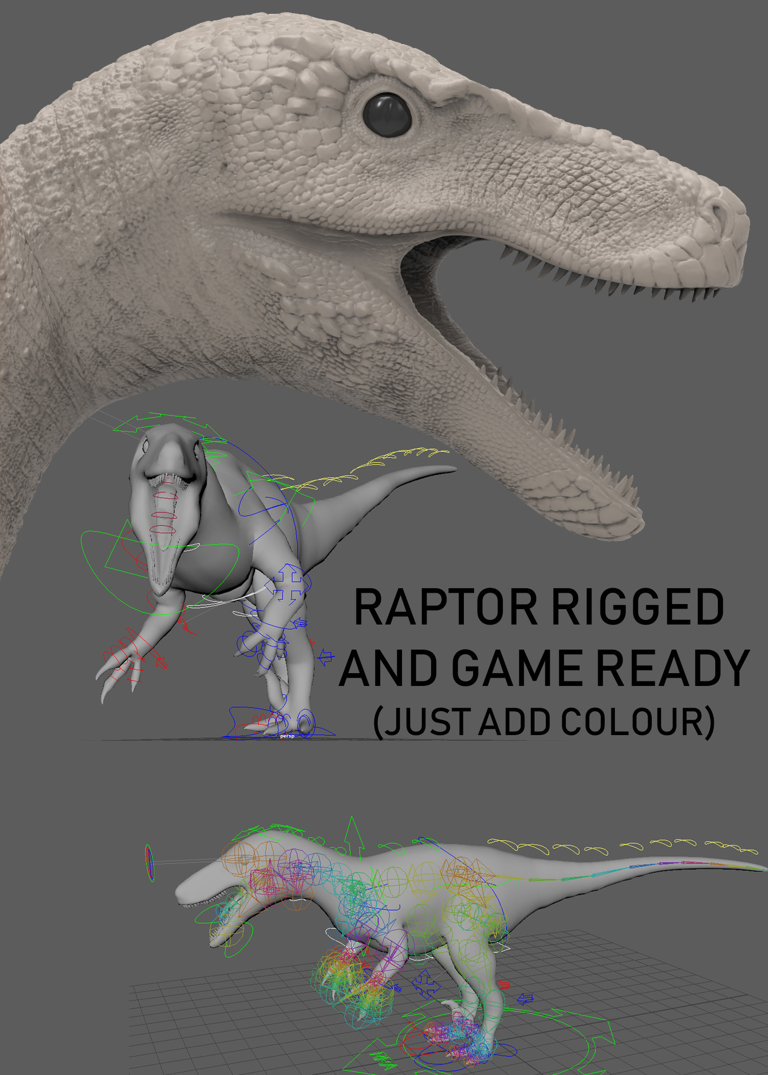 ArtStation - Raptor Rig | Resources