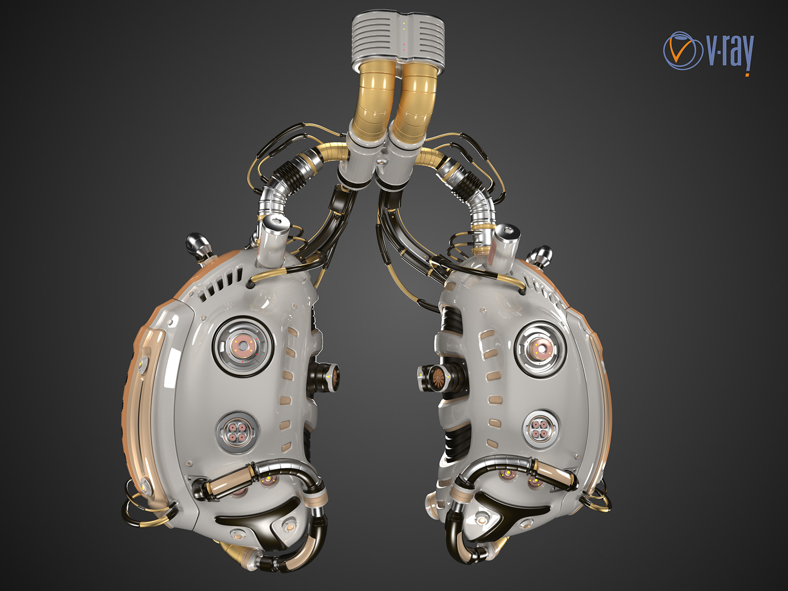 ArtStation - Robotic Lungs 3D Model (MAX, FBX, OBJ) | Resources