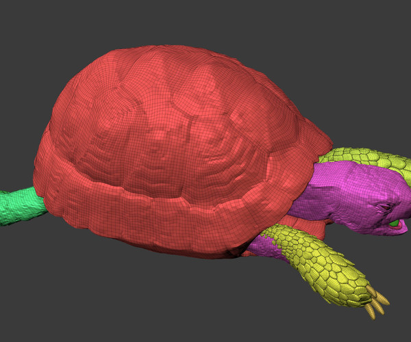 ArtStation - TORTOISE LOW POLY 3D MODEL | Resources