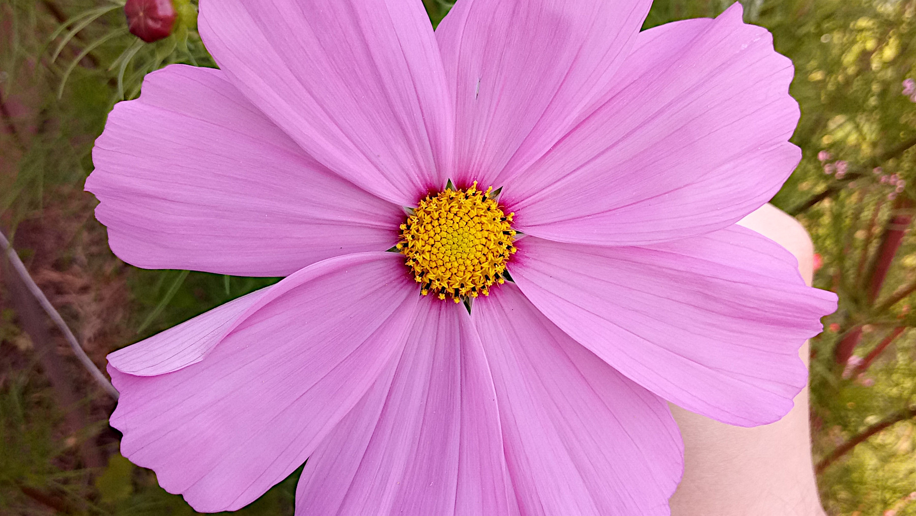 ArtStation - Russia | Textures Photo Pack | Resources