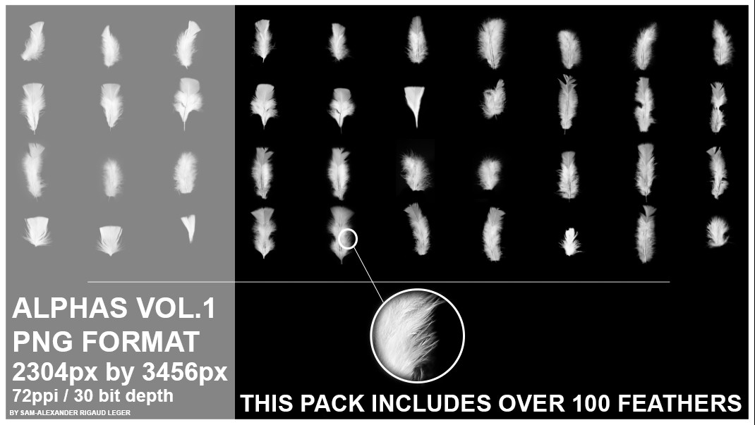 ArtStation - Feathers Alphas Vol.1 | Brushes