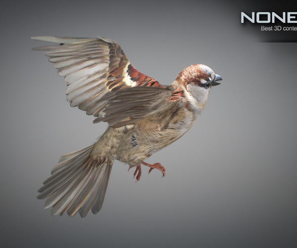 ArtStation - Animated Sparrow | Game Assets