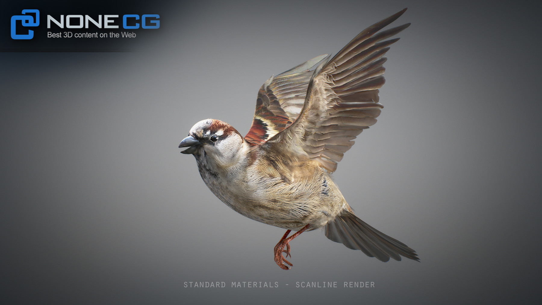 ArtStation - Animated Sparrow | Game Assets
