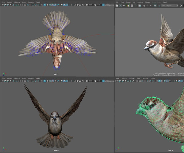 ArtStation - Animated Sparrow | Game Assets