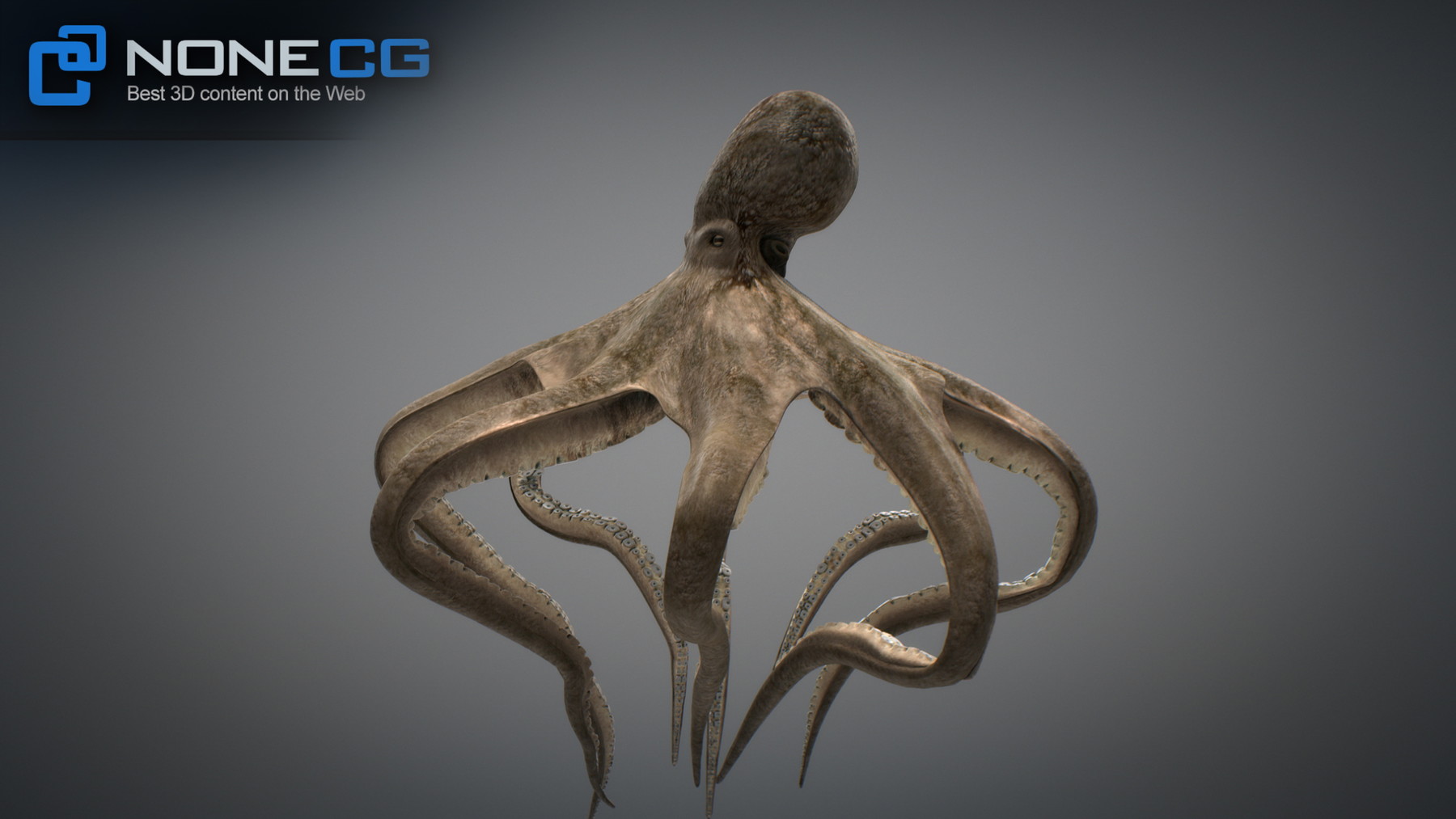ArtStation - Animated Octopus | Game Assets