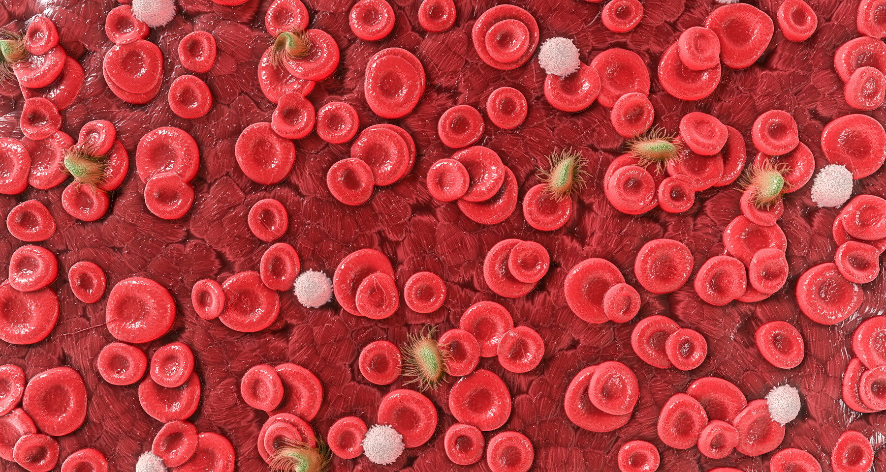 ArtStation - Blood Cells Material | Game Assets