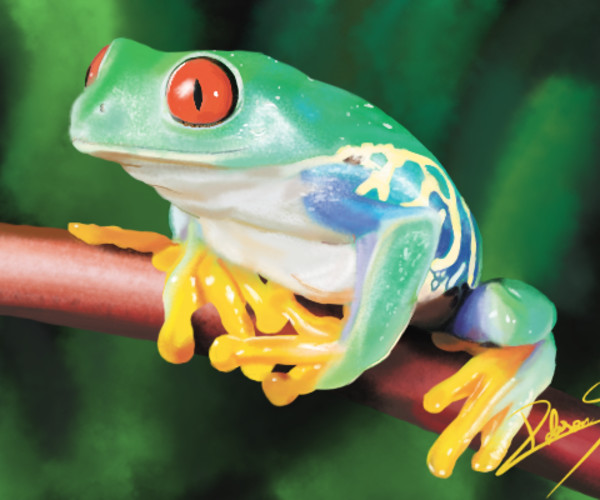 ArtStation - A frog - Uma rã | Artworks