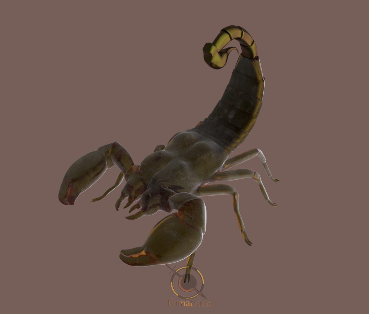 ArtStation - Scorpion | Resources