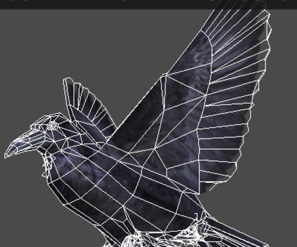 ArtStation - Animated Crow | Resources