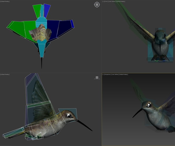 ArtStation - Animated Hummingbird | Resources