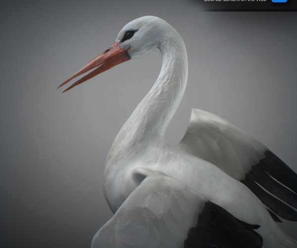 ArtStation - Animated Stork | Resources