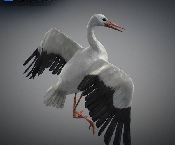 ArtStation - Animated Stork | Resources