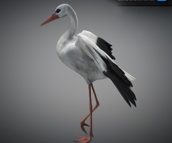 ArtStation - Animated Stork | Resources
