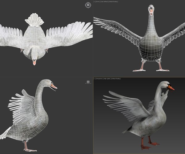 ArtStation - Animated Swan | Resources