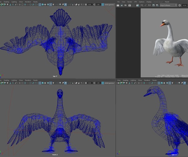 ArtStation - Animated Swan | Resources
