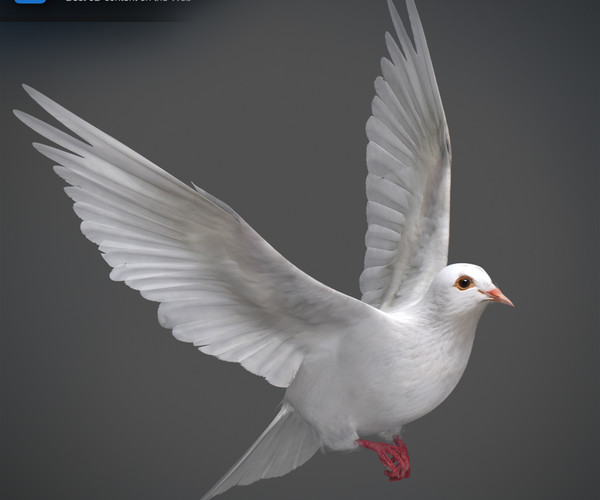 ArtStation - Animated Doves | Resources