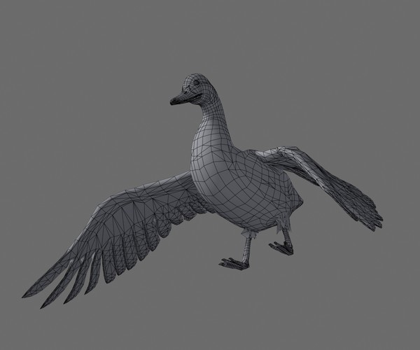 ArtStation - Animated Ducks | Resources