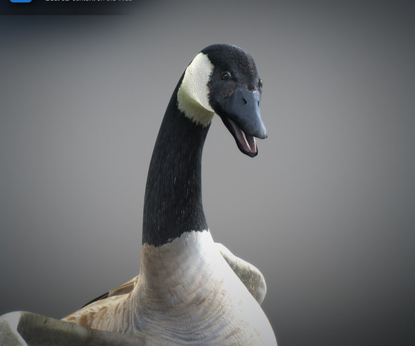 ArtStation - Animated Geese | Resources