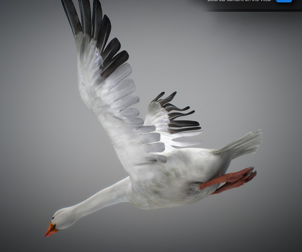 ArtStation - Animated Geese | Resources