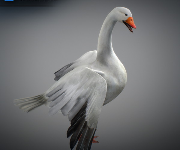 ArtStation - Animated Geese | Resources