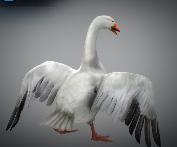 ArtStation - Animated Geese | Resources