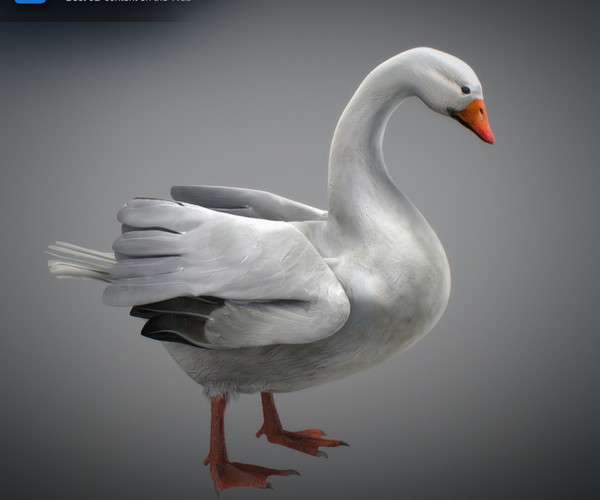 ArtStation - Animated Geese | Resources
