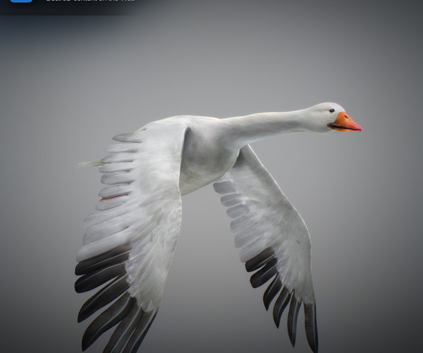 ArtStation - Animated Snow Goose | Resources