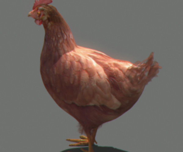 ArtStation - Animated Chicken | Resources