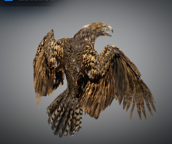 ArtStation - Animated Hawk | Resources