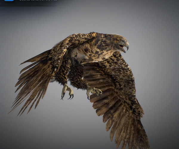 ArtStation - Animated Hawk | Resources