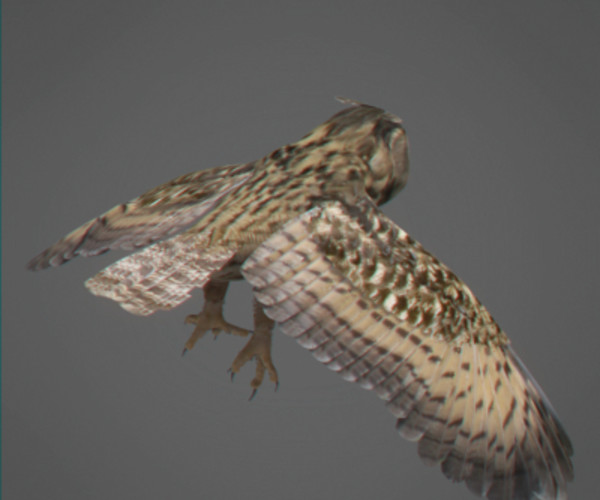 ArtStation - Animated Owl | Resources