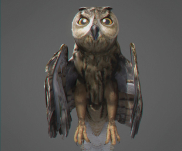 ArtStation - Animated Owl | Resources