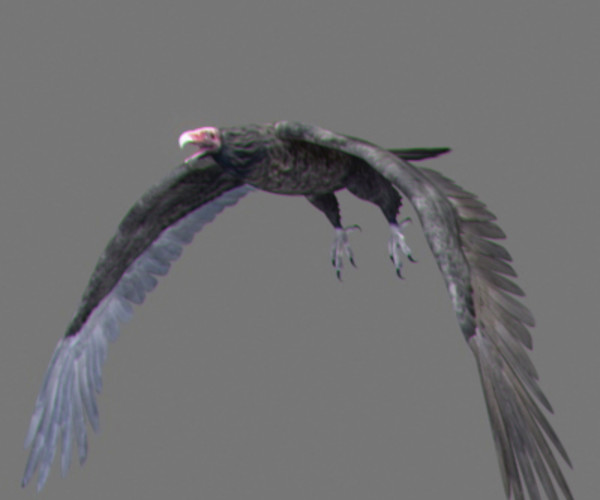 ArtStation - Animated Vultures | Resources