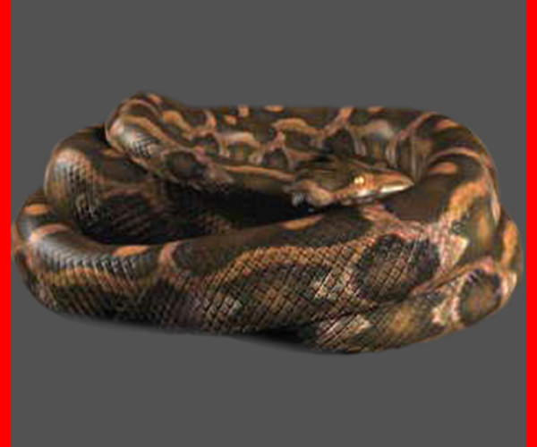 ArtStation - Pack – Snakes | Game Assets