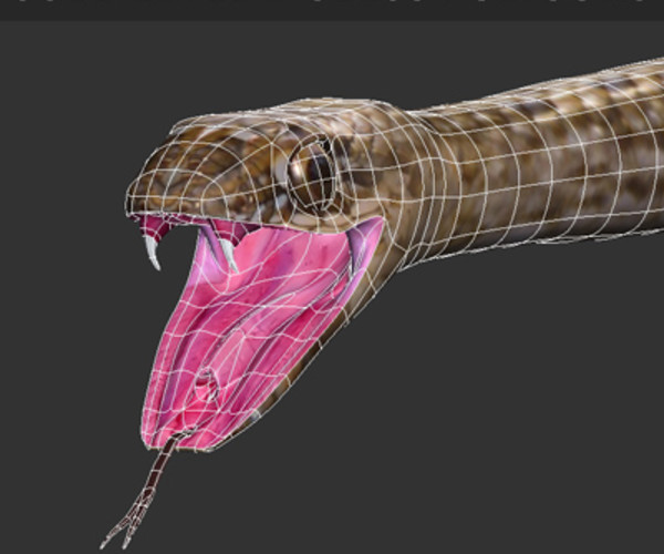 ArtStation - Pack – Snakes | Game Assets