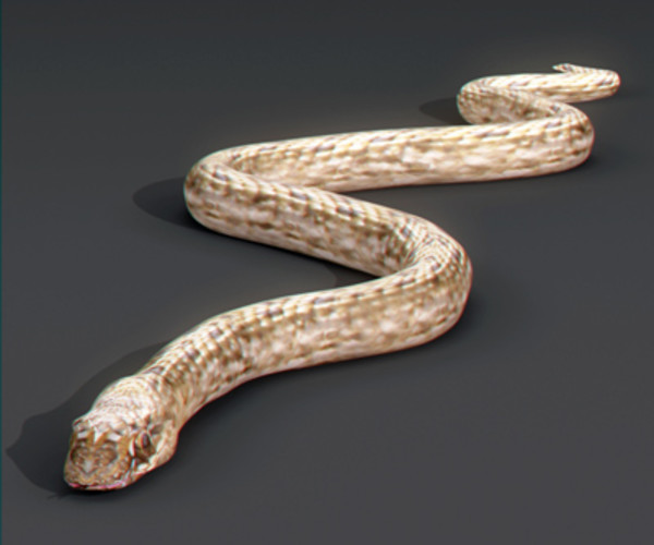 ArtStation - Pack – Snakes | Game Assets