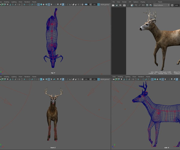 ArtStation - Animated Deer | Game Assets