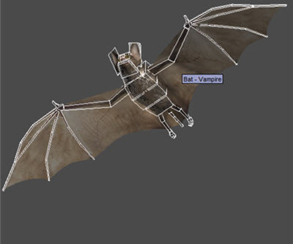 ArtStation - Vampire Bat | Game Assets