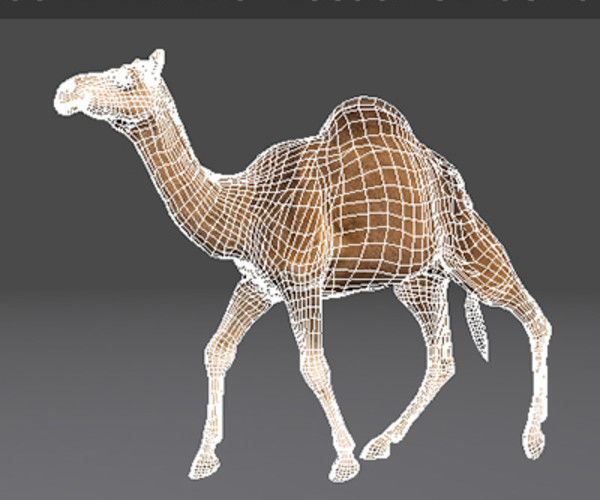 ArtStation - Animated Camel | Game Assets