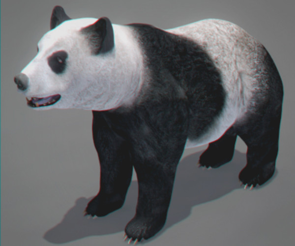 ArtStation - Panda Bear | Game Assets