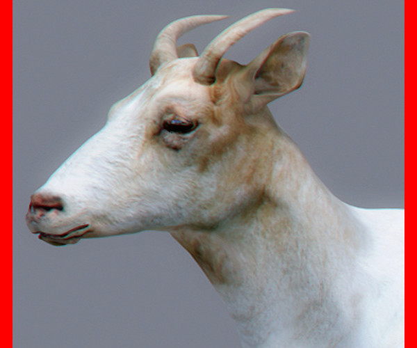 ArtStation - Goat | Game Assets