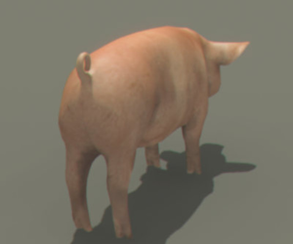 ArtStation - Pig | Resources