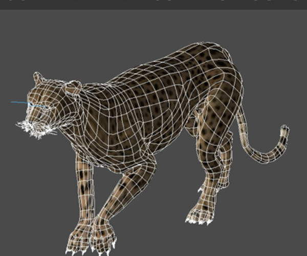 ArtStation - Animated Cheetah | Game Assets