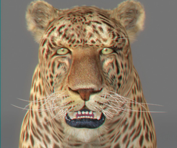ArtStation - Leopard | Game Assets