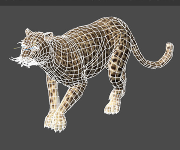 ArtStation - Animated Leopard | Game Assets