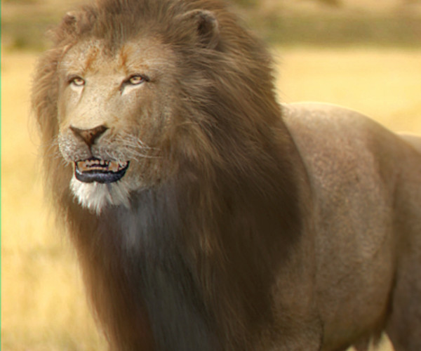 ArtStation - Animated Lion | Resources