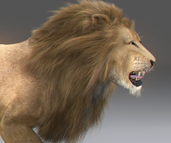 ArtStation - Animated Lion | Resources