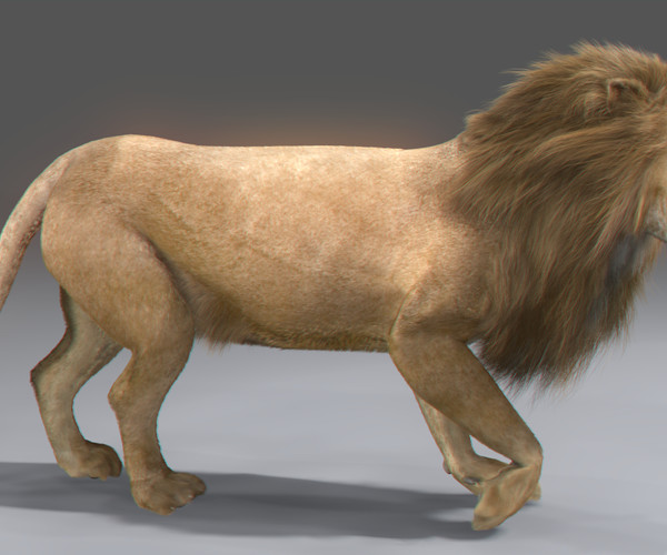 ArtStation - Animated Lion | Resources